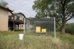 Honey bees call UCCS Farm home – UCCS Communique