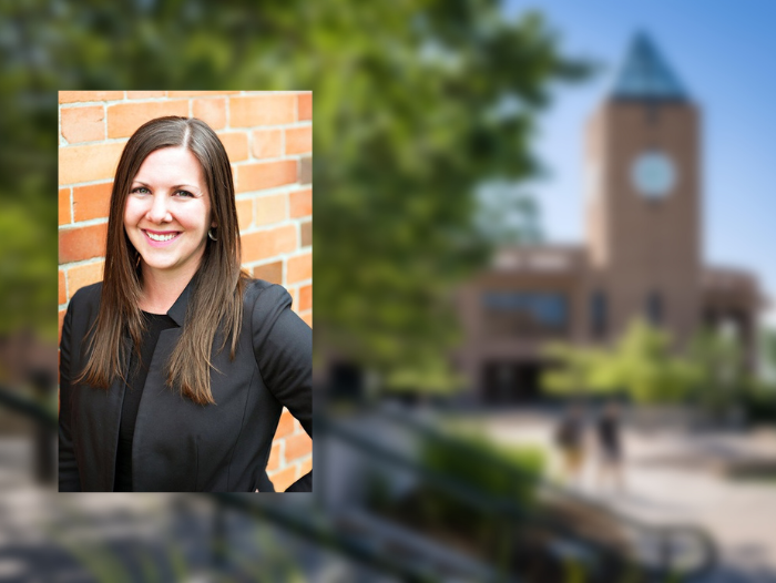 Stephanie Gangemi appointed to Council of Social Work Education’s Women ...