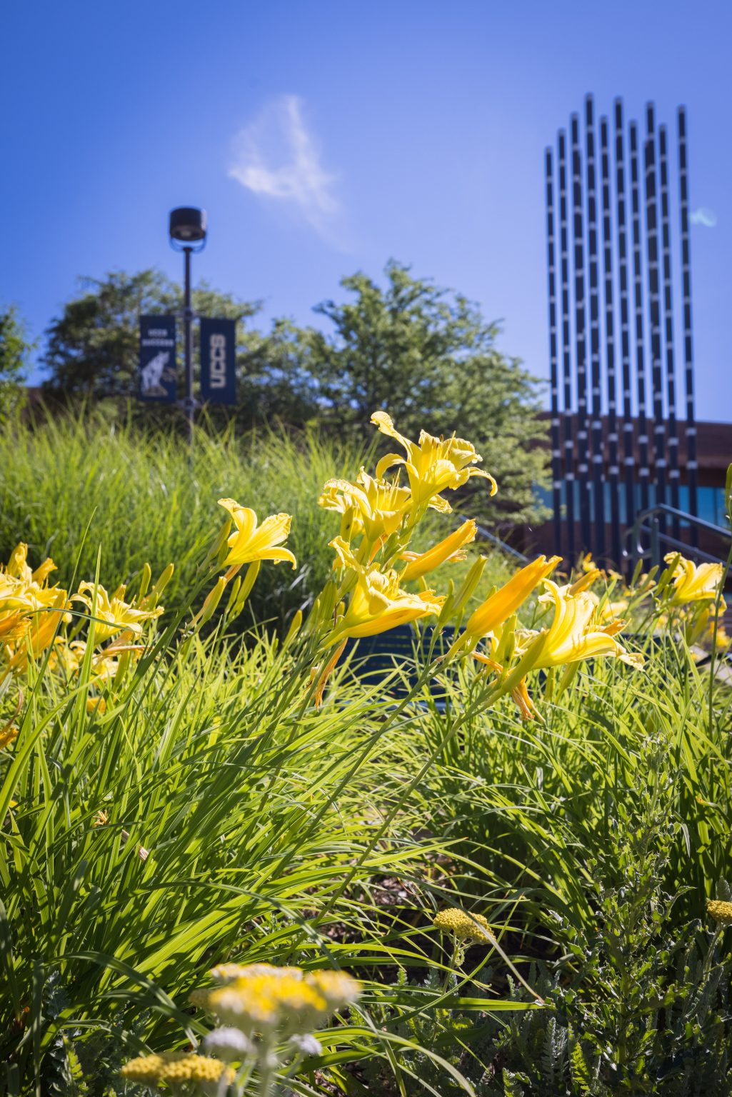 2022 Campus Photos: Best of UCCS – UCCS Communique